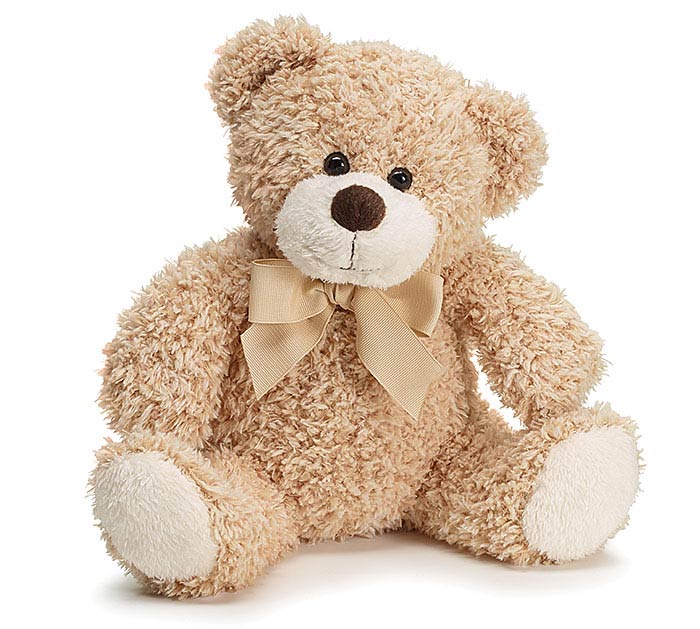 Bailey Bear – Shop Venetian